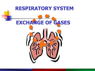 respiratory system PowerPoint 2015 (1).ppt
