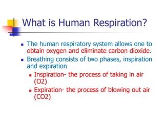 respiratory system PowerPoint 2015 (1).ppt