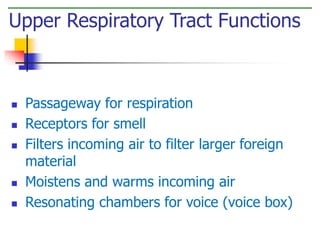 respiratory system PowerPoint 2015 (1).ppt