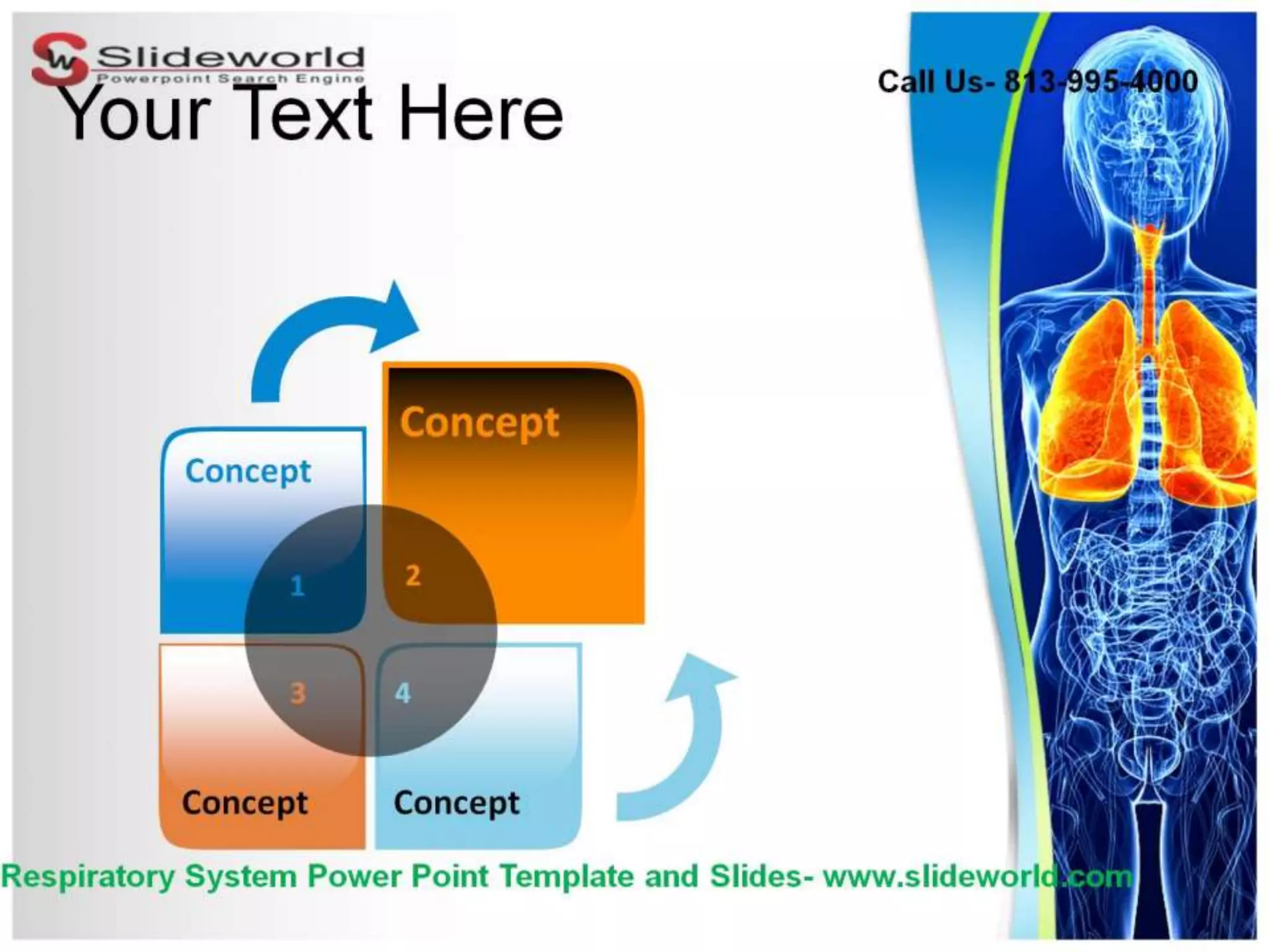 Respiratory System Powerpoint Template | PPTX