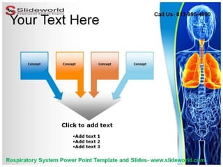 Respiratory System Powerpoint Template | PPTX