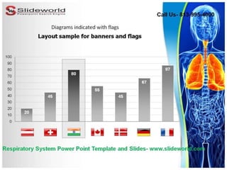 Respiratory System Powerpoint Template | PPT