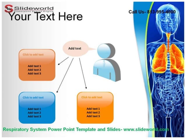 Respiratory System Powerpoint Template | PPTX | Operating Systems ...