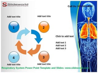 Respiratory System Powerpoint Template | PPT