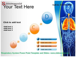 Respiratory System Powerpoint Template | PPTX