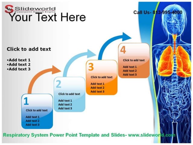Respiratory System Powerpoint Template | PPTX | Operating Systems ...