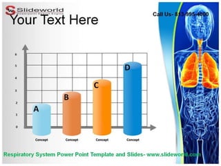 Respiratory System Powerpoint Template | PPT