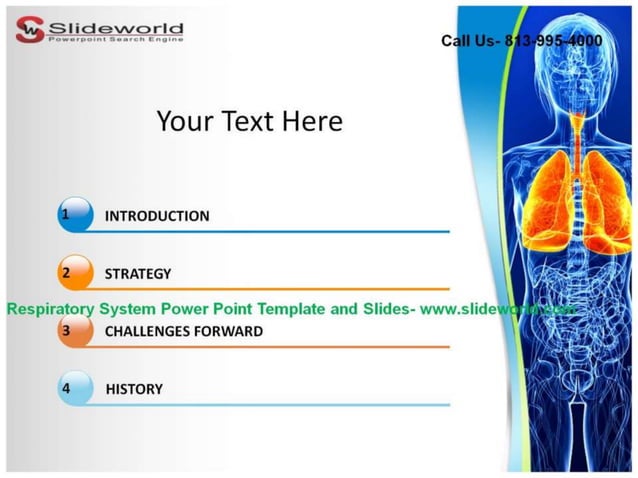 Respiratory System Powerpoint Template | PPTX | Operating Systems ...