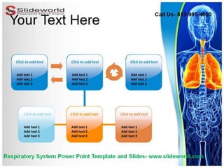 Respiratory System Powerpoint Template | PPTX