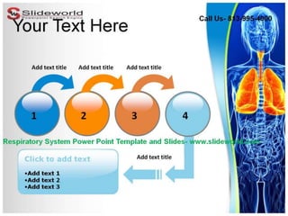 Respiratory System Powerpoint Template | PPTX