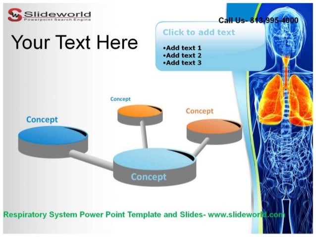 Respiratory system powerpoint template