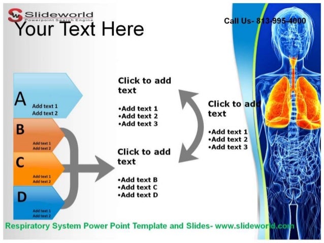 Respiratory system powerpoint template