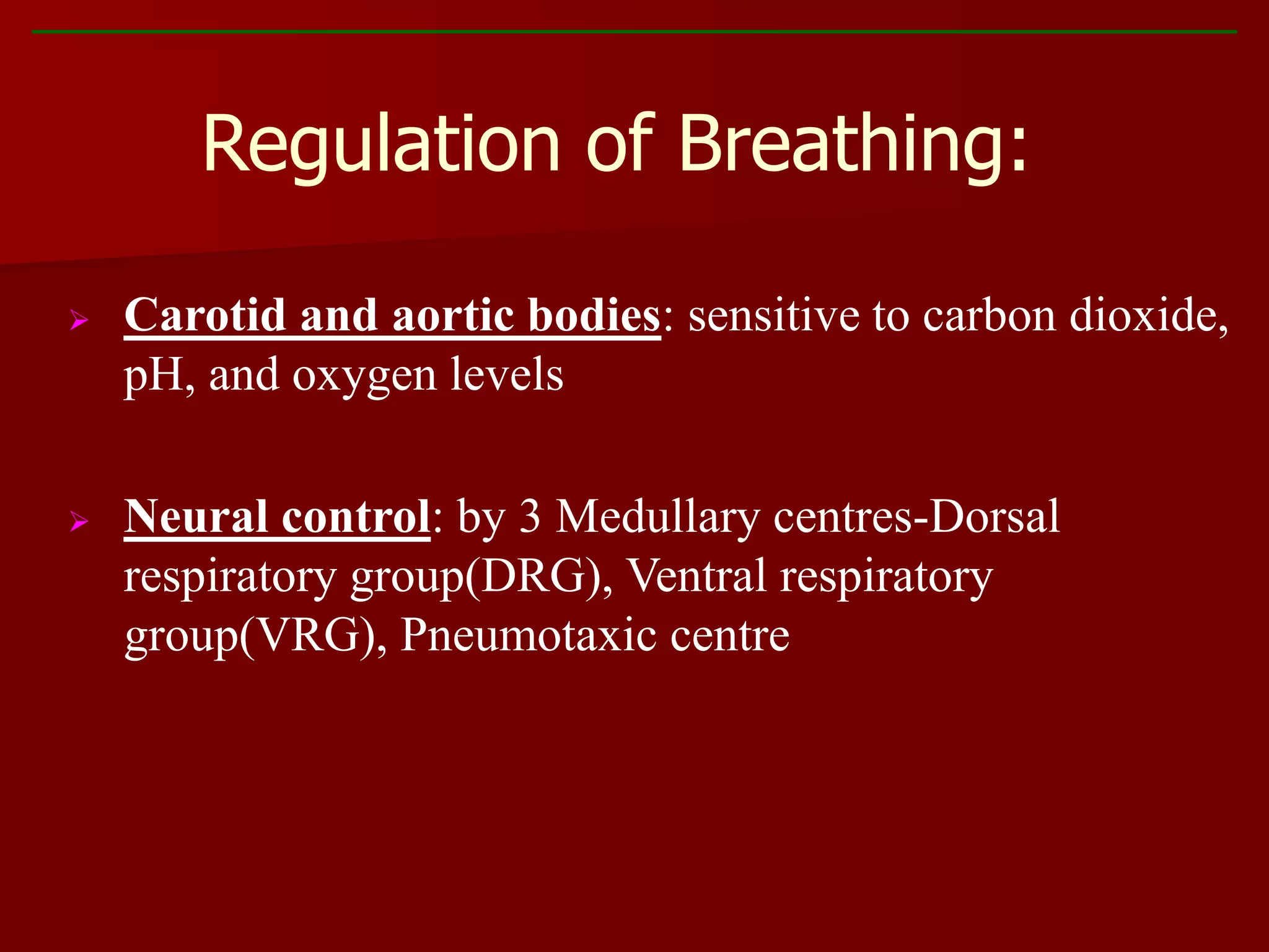 Respiratory System Ppt | PPT