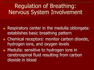 Respiratory System Ppt | PPT