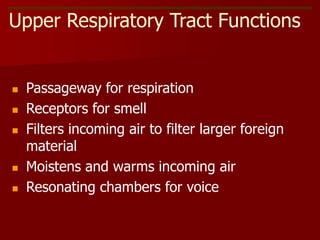 Respiratory System Ppt | PPT