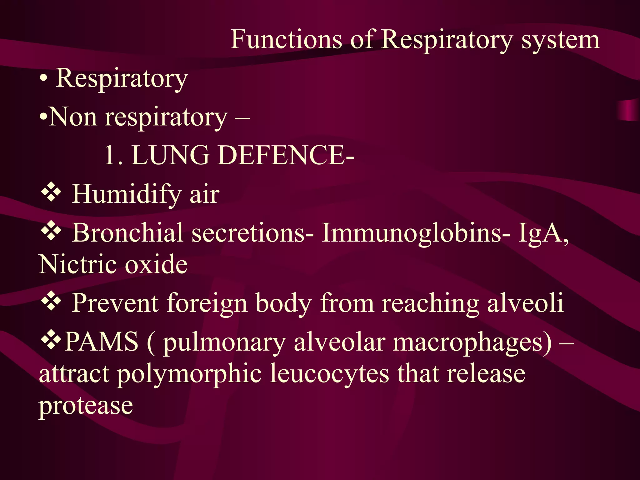 Respiratory System Physiology | PPT