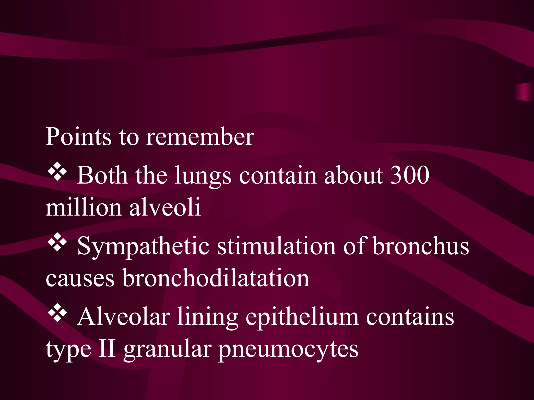 Respiratory System Physiology | PPT