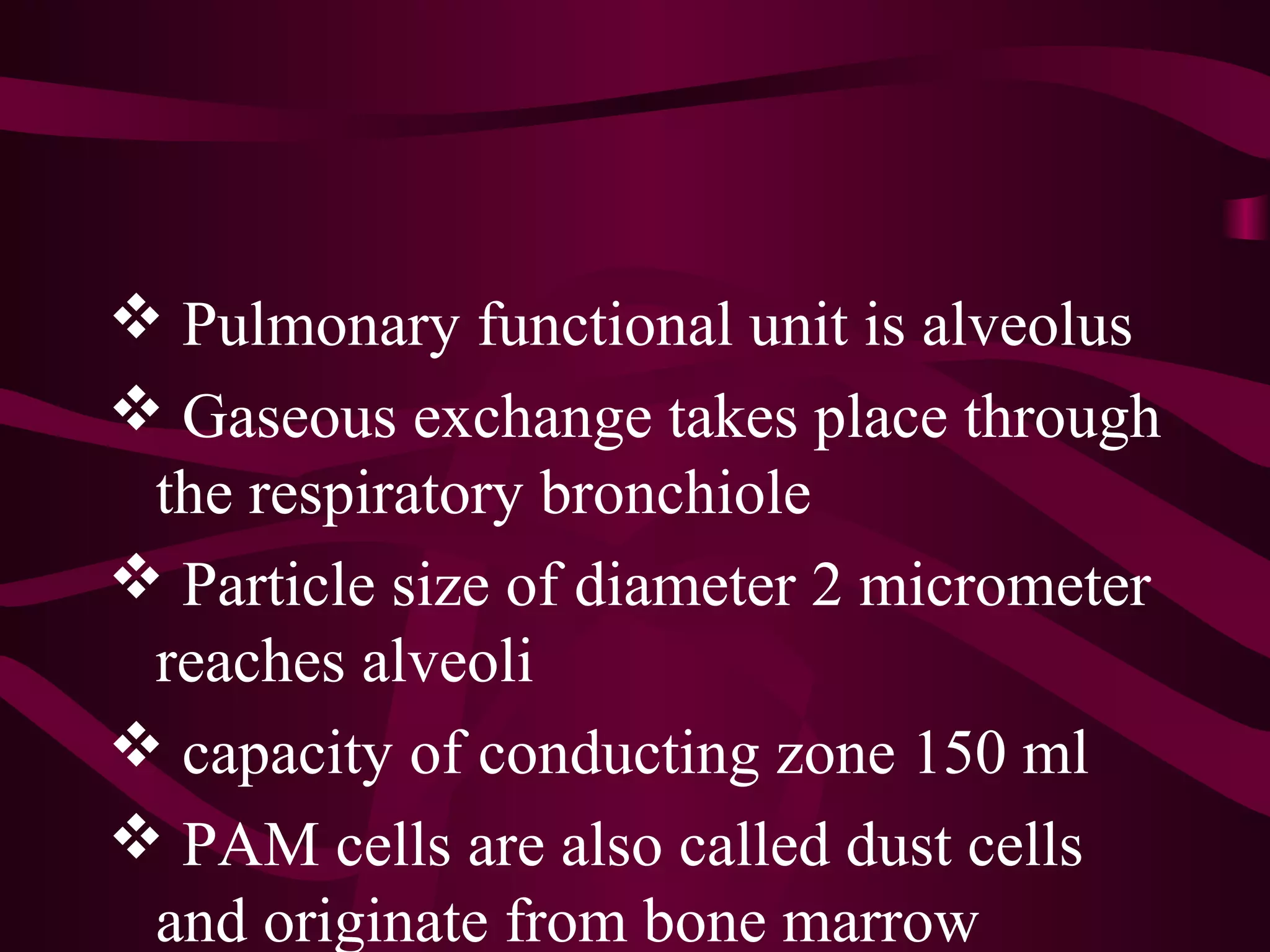Respiratory System Physiology | PPT