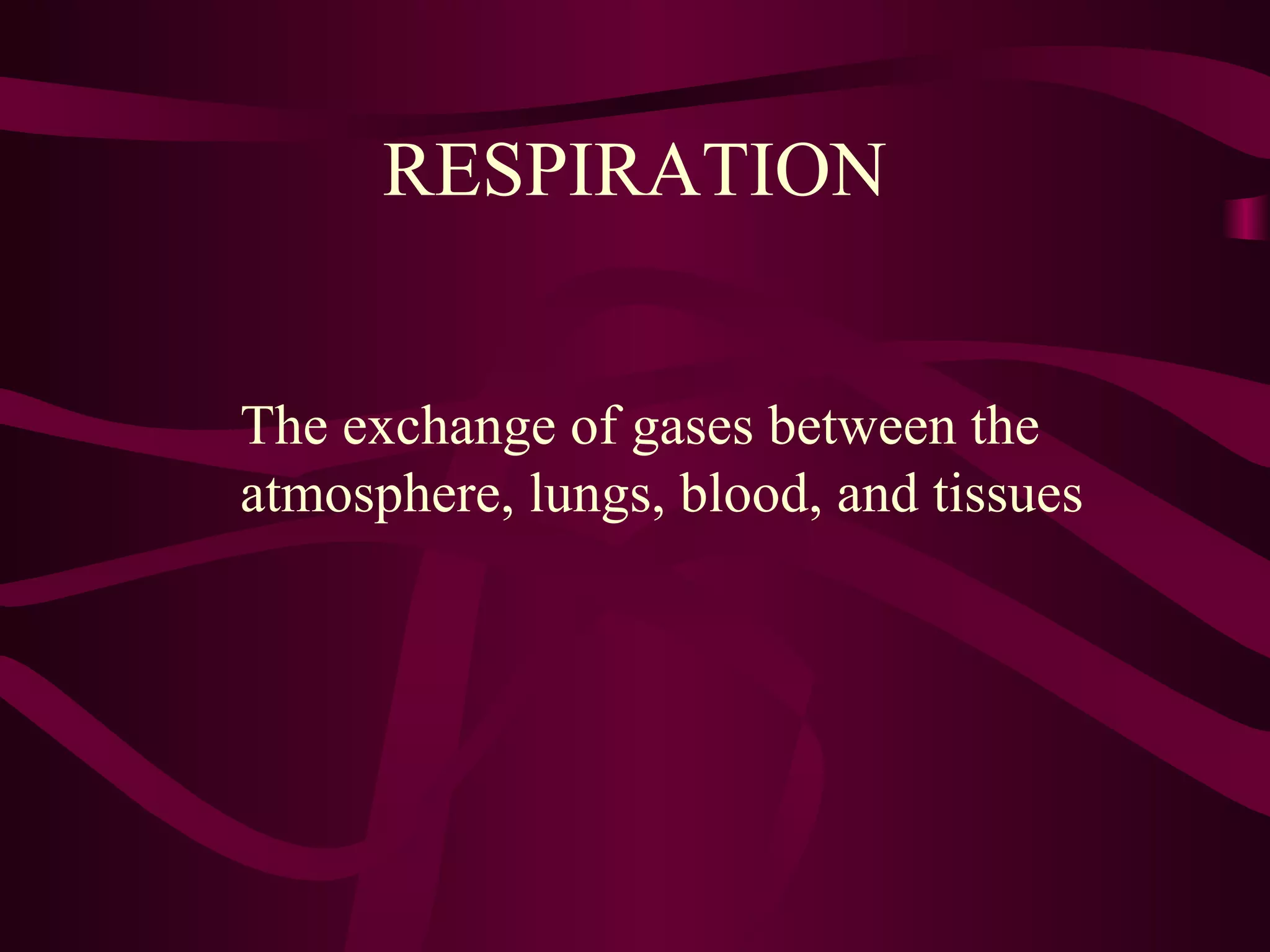 Respiratory System Physiology | PPT