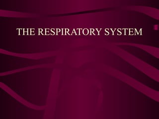 Respiratory System Physiology | PPT