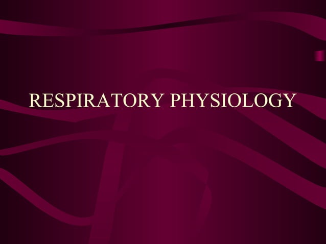 Respiratory System Physiology | PPT | Lung and Respiratory Health ...