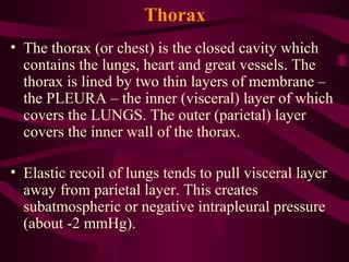 Respiratory System Physiology | PPT