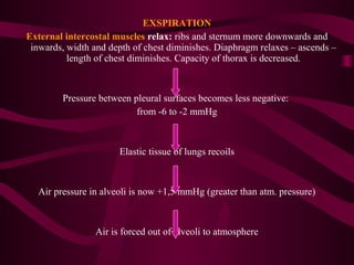 Respiratory System Physiology | PPT