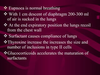 Respiratory System Physiology | PPT