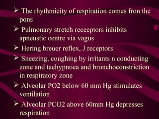 Respiratory System Physiology | PPT