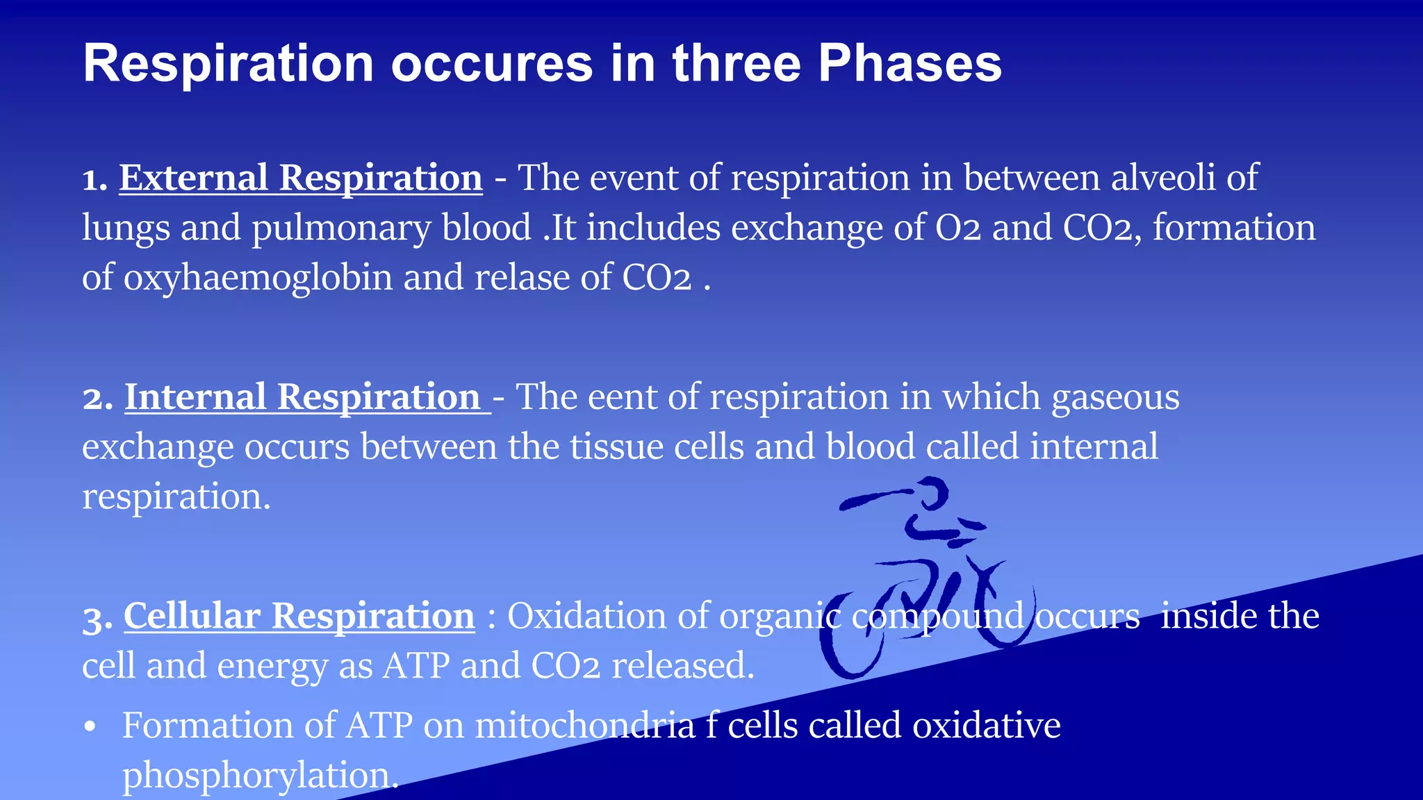 Respiratory system | PPTX