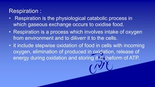 Respiratory system | PPT