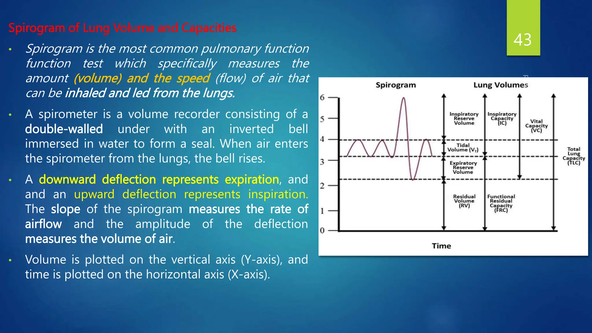|HAP-II| Unit-3: Respiratory System. |Complete Notes|| | PPTX
