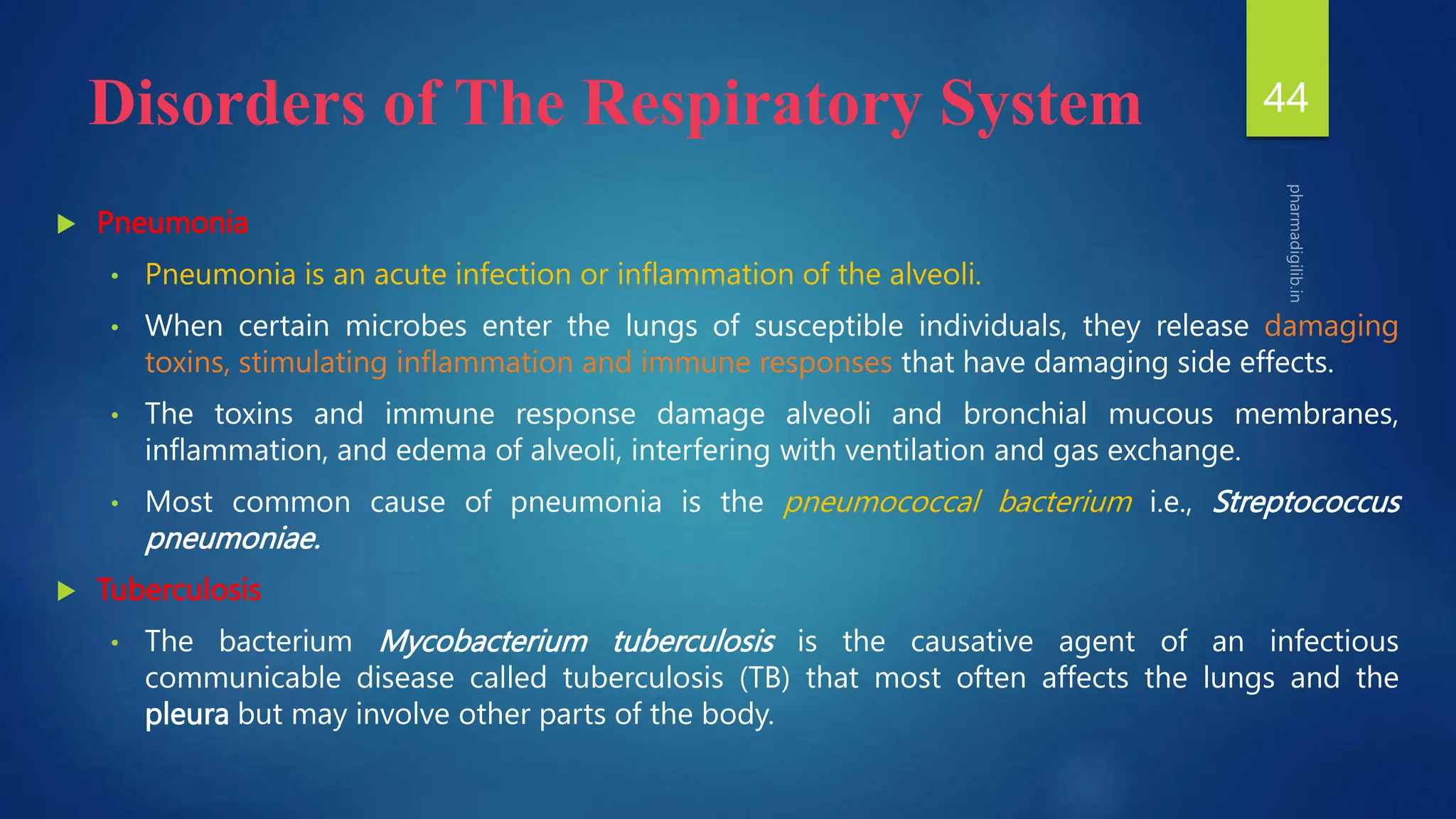 |HAP-II| Unit-3: Respiratory System. |Complete Notes|| | PPTX