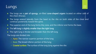 |HAP-II| Unit-3: Respiratory System. |Complete Notes|| | PPTX | Ear ...