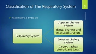 |HAP-II| Unit-3: Respiratory System. |Complete Notes|| | PPTX