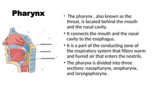 PARTS AND FUNCTION OF THE RESPIRATORY SYSTEM PPT.pptx