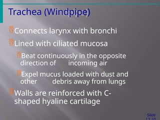 Respiratory system ppt 1.pptx- PHYSIOPATHOLOGY | PPTX