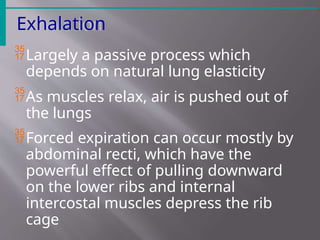Respiratory system ppt 1.pptx- PHYSIOPATHOLOGY | PPTX