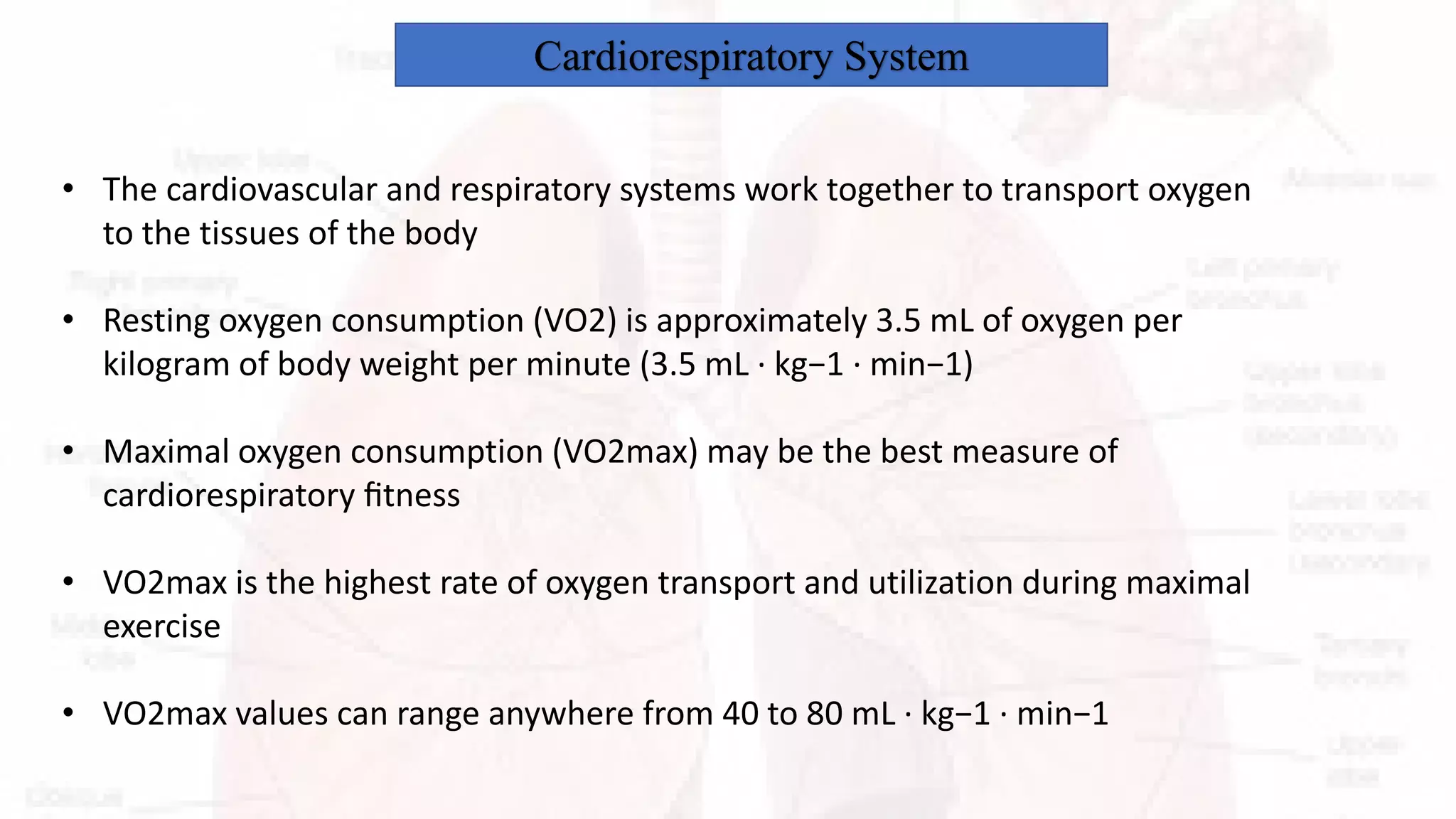 Respiratory System (PRESENTATION).pdf