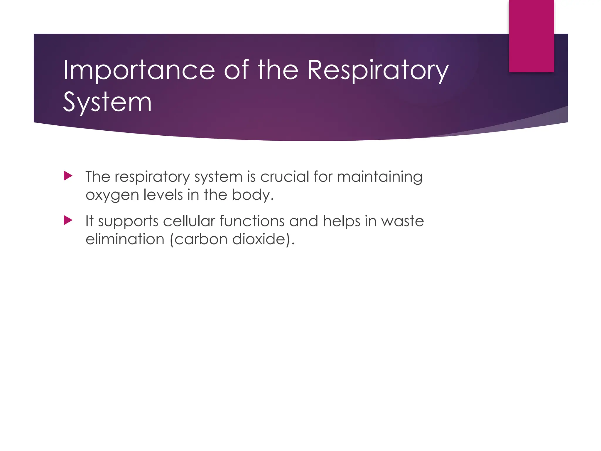 Respiratory_System_Presentation Read it and Learn | PPTX