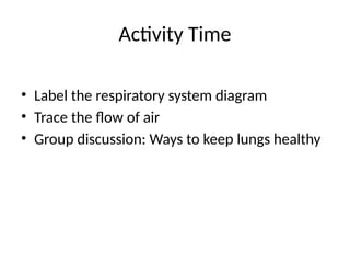Function Respiratory_System_Presentation.pptx