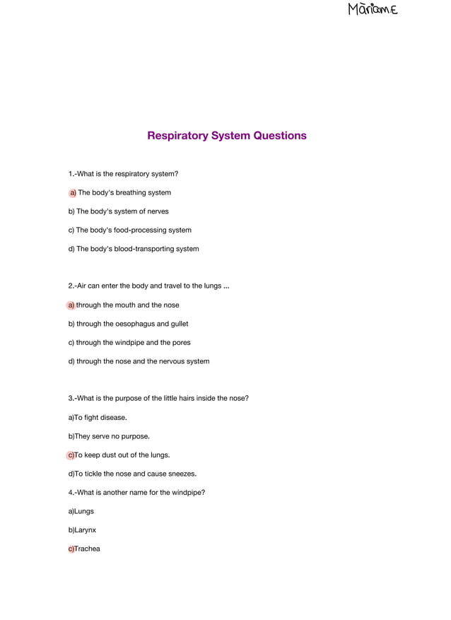 Respiratory system questions | PDF