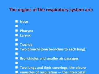 _Respiratory Systems.pptx