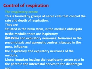 _Respiratory Systems.pptx