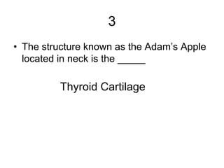 respiratory system Sem 2 HAP.ppt