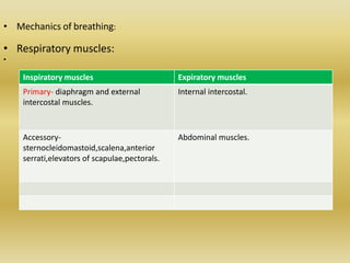 Respiratory system by Dr. Shabnam rajput | PPTX