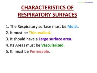 Respiratory Systems KZLZ. | PPT