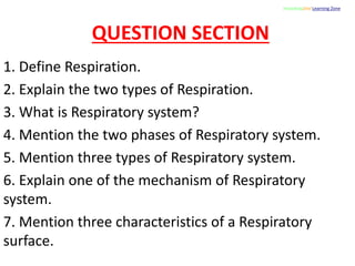 Respiratory Systems KZLZ. | PPT