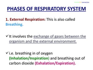 Respiratory Systems KZLZ. | PPT