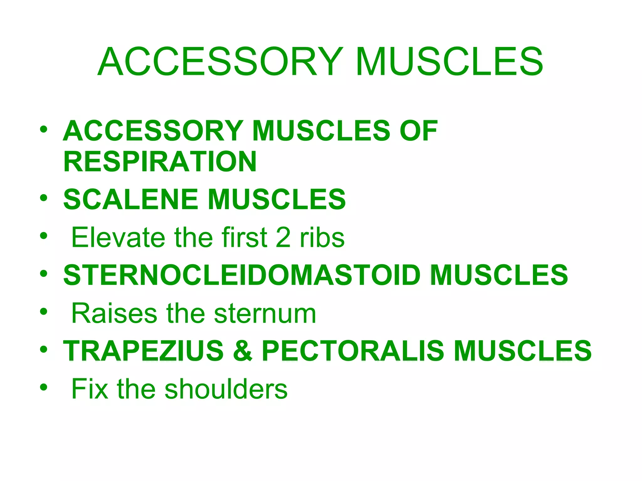 Respiratory system slide show | PPT